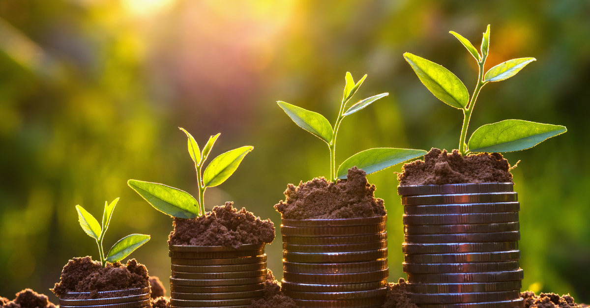 Are You Maximizing Your Most Valuable Asset? | BDR