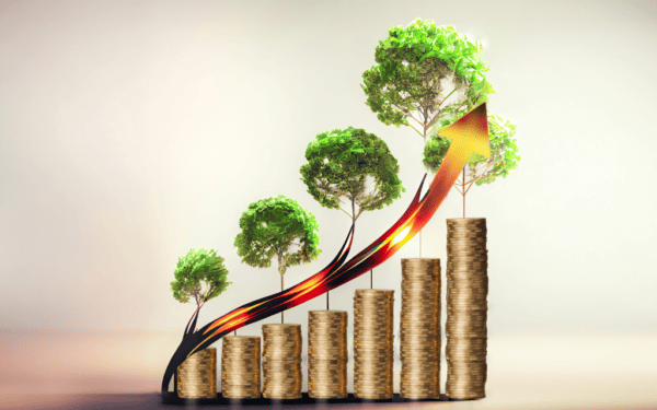 Managing & Growing Service Profitably | BDR